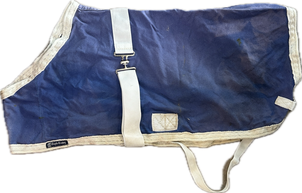 Buy Triple Crown Mini Stable Sheet, 34"