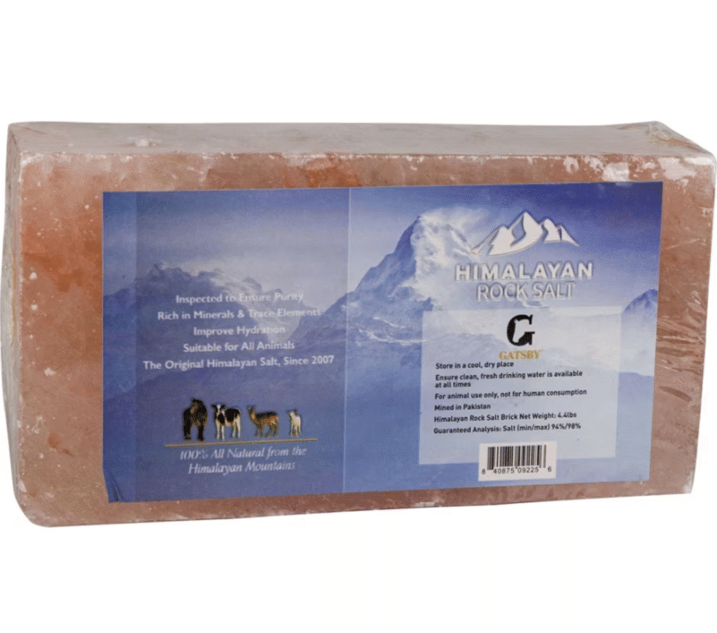 Buy Gatsby Natural Himalayan Rock Salt Block